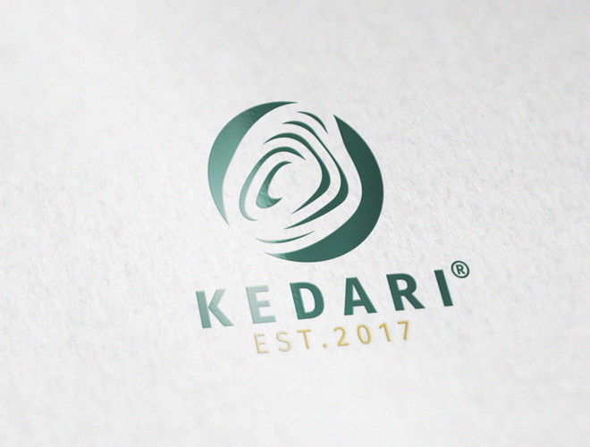 Brandit | Kedari - ს ლოგოს დიზაინი და ბრენდბუქი